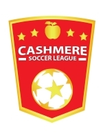 Washington State Adult Soccer Association